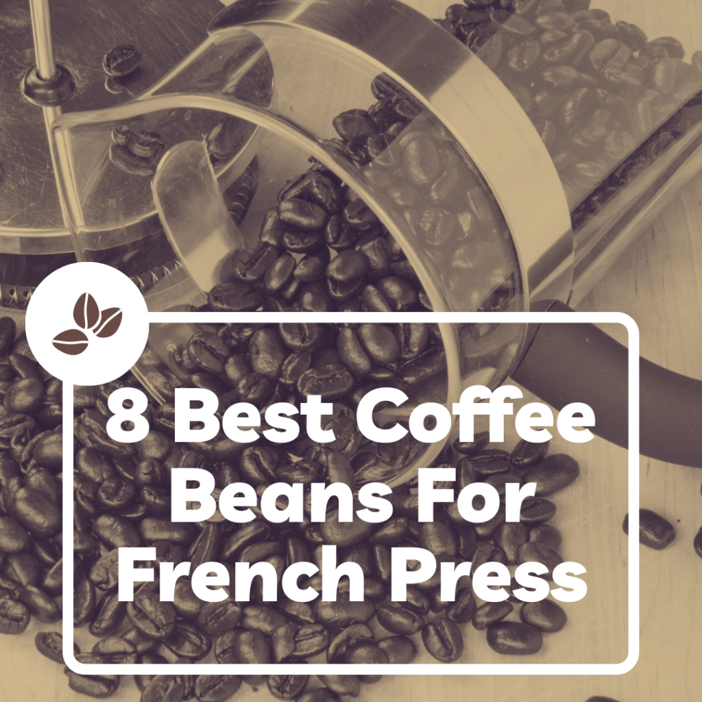Coffee | The Brew Makers